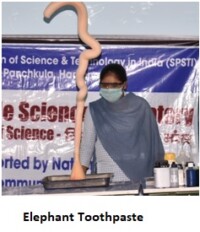 Decomposition Reaction-Formation of Elephant Toothpaste – Society for ...